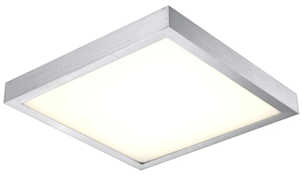 Globo GLOBO 41662 - LED Stropní svítidlo TAMINA 1xLED/16W GL0938