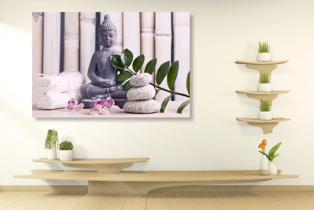 Obraz wellnes Budha Varianta: 120x80