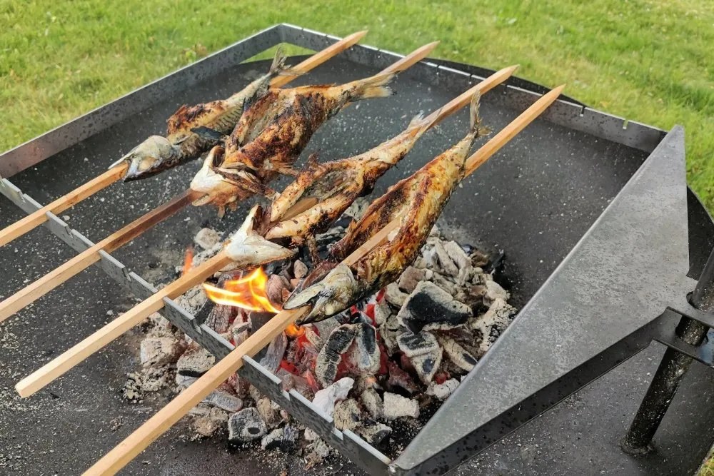 Gril na šašlik, špízy a ryby - 50 cm