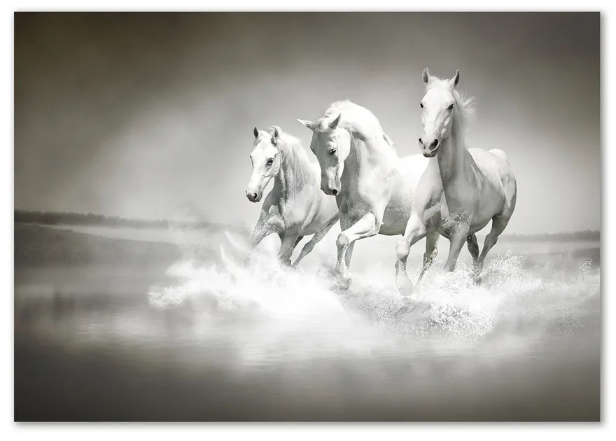Wallmuralia Foto obraz fotografie na skle Bílí koně 100x70 cm