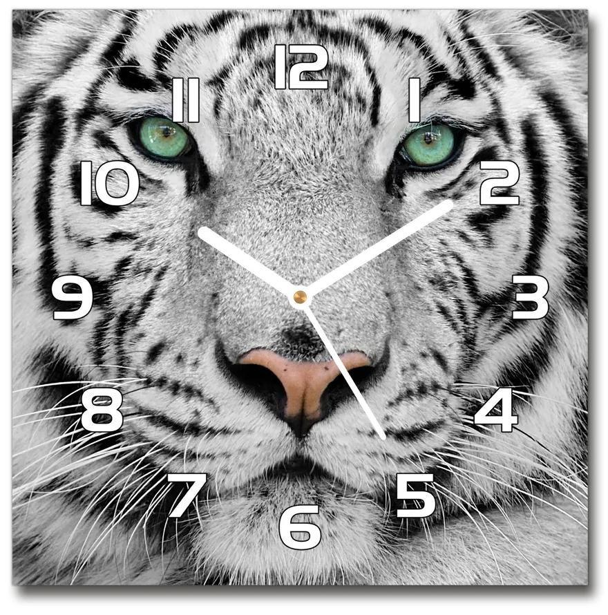 Wallmuralia Skleněné hodiny čtverec Bílý tygr 30x30 cm
