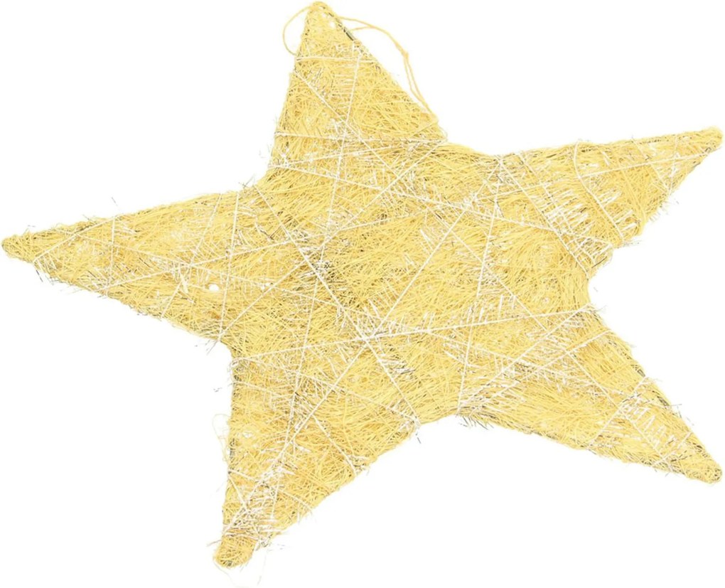 Vánoční ozdoba Golden Star II 25 cm