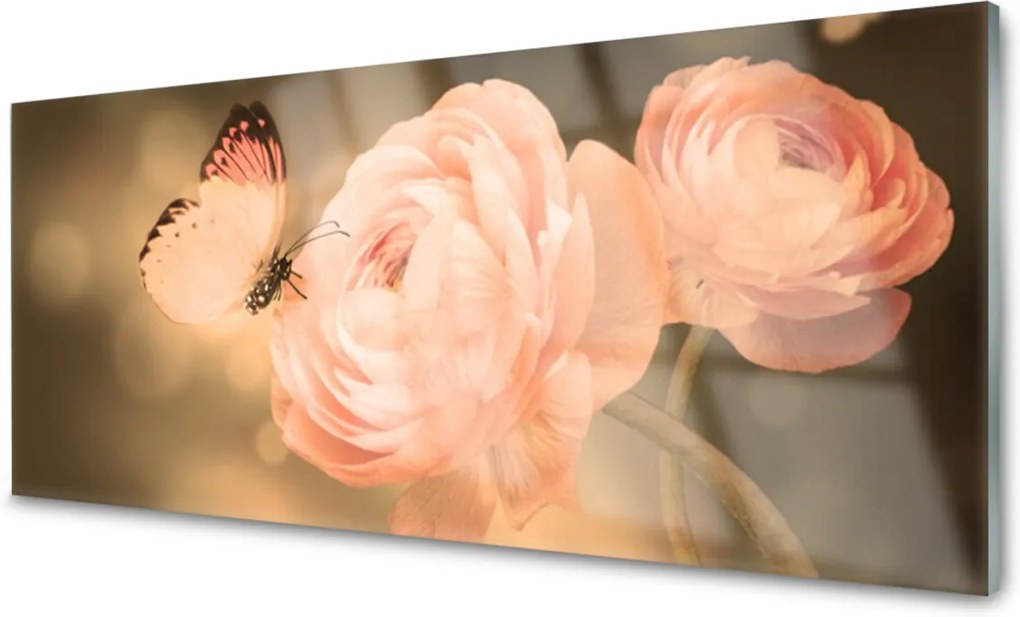 Plexisklo obraz Motýl Růže Příroda