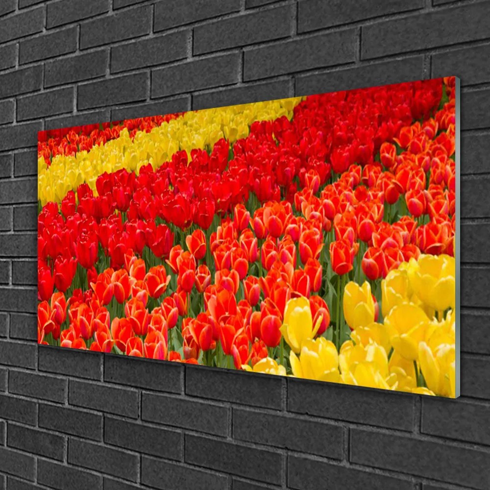 Obraz na skle Tulipány Květiny 140x70 cm