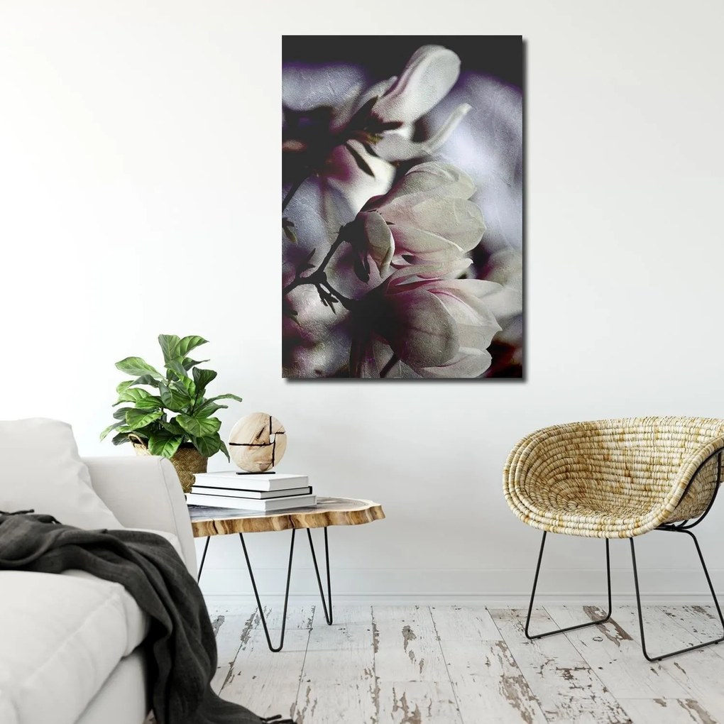 Gario Obraz na plátně Detailní záběr květů magnólie - Dmitry Belov Rozměry: 40 x 60 cm