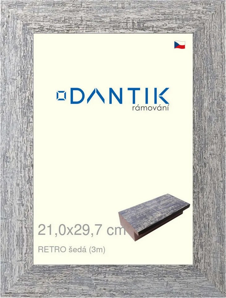 DANTIK rámeček 21x29,7 | RETRO šedá (Sklo Čiré)