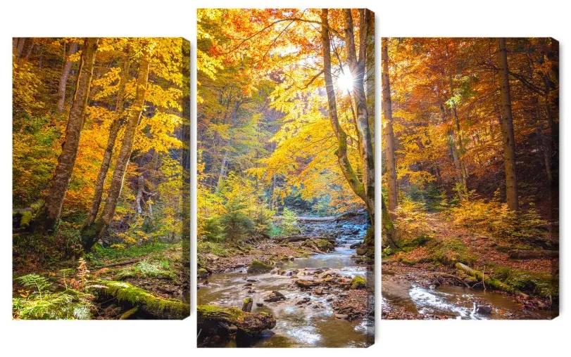 Vícedílný obraz 3D Podzimní Lesní Krajina Nedostatek Nedostatek Plátno Canvas 120x80