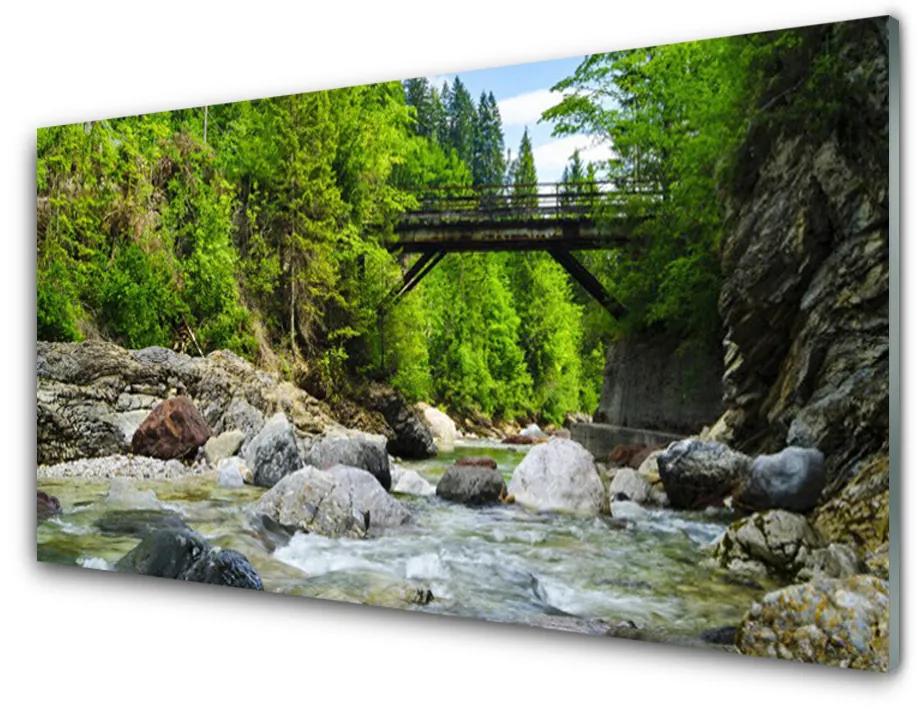 akrylový obraz Dřevěný Most v Lese 125x50 cm