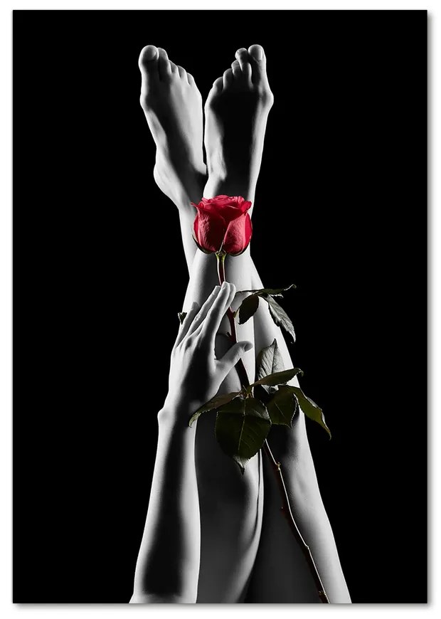 Wallmuralia Moderní akrylový fotoobraz Růže a chodidla 70x100 cm