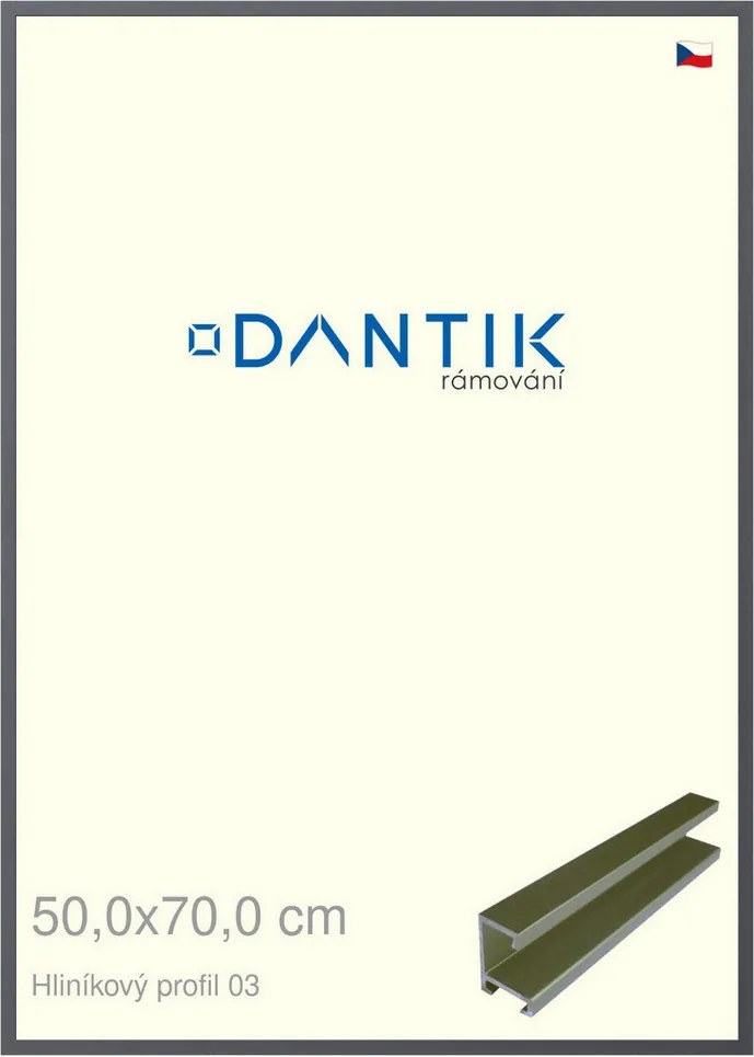 DANTIK rámeček 50x70 | ALU profil 7003 Platina matná (Plexi Čiré)