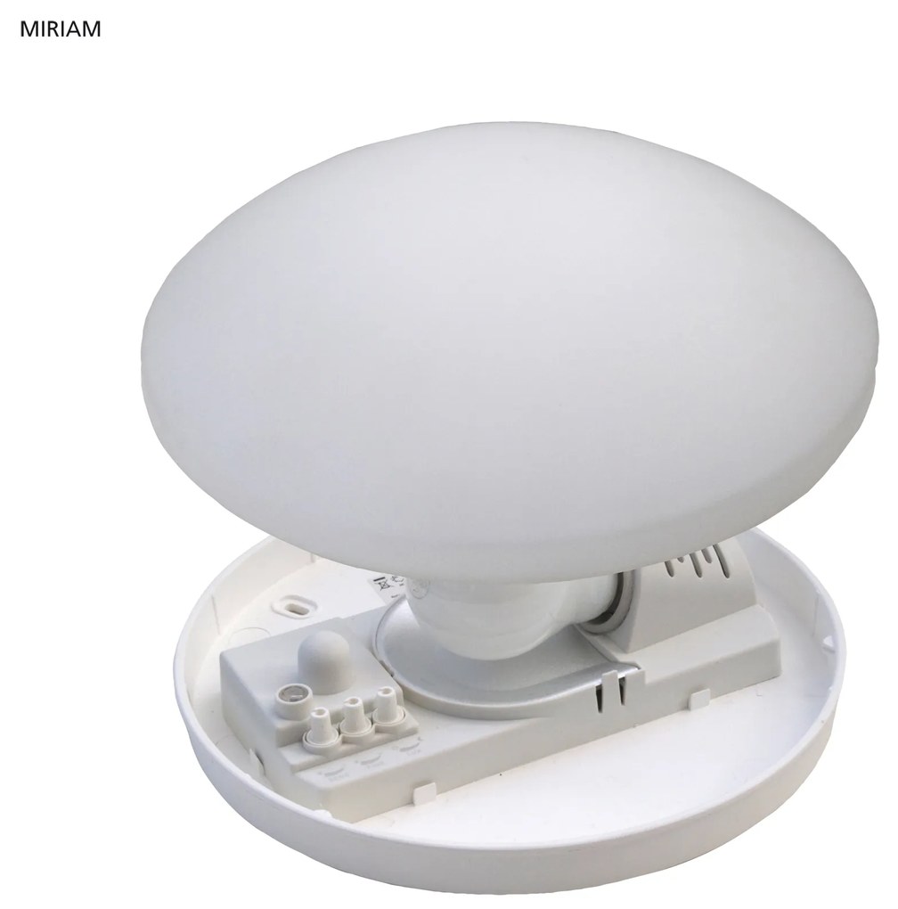 MIRIAM 2 FULGUR stropní svítidlo s 360° senzorem 1xE27 IP44 Venkovní stropní svítidla