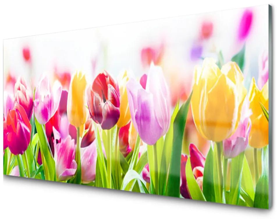 Akrylové obraz Skleněný Tulipány Květiny