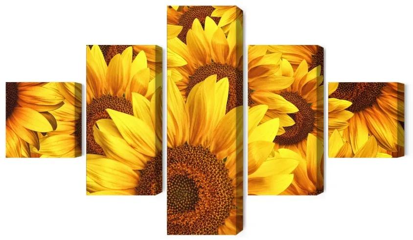 Vícedílný obraz 3D Květy Slunečnice Nedostatek Nedostatek Přírodní plátno 200x120