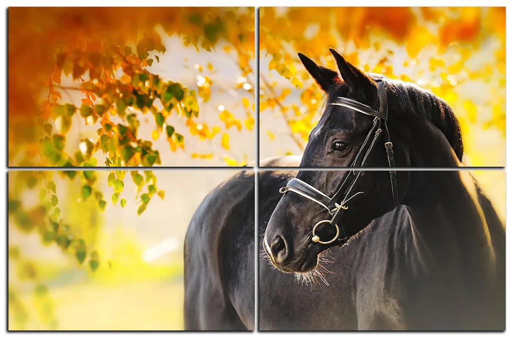 Obraz na plátně - Černý kůň 1220E (90x60 cm)