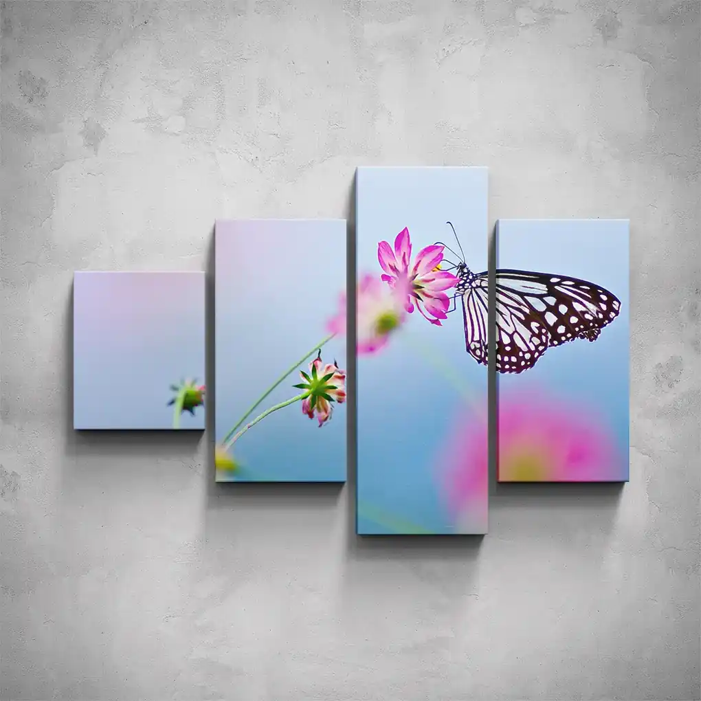 4-dílný obraz - Luční motýl - PopyDesign | BIANO