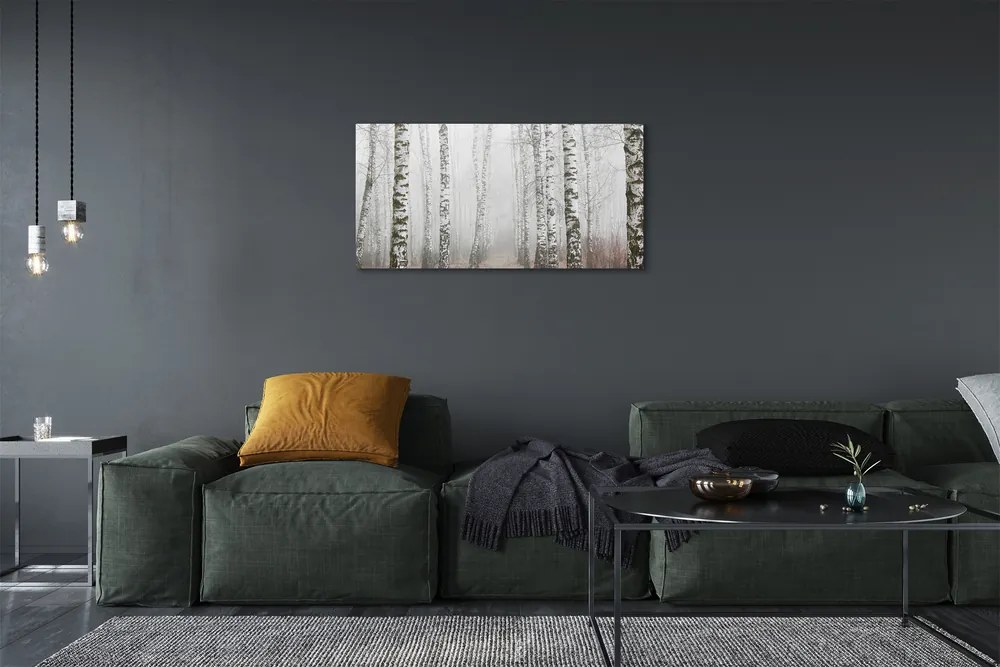 Obrazy na plátně mlha bříza 120x60 cm