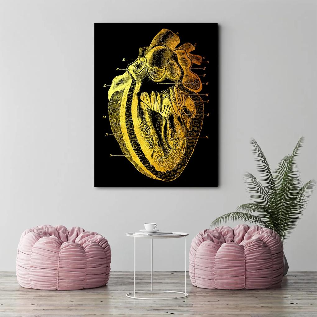 Gario Obraz na plátně Zlatá anatomie, průřez lidským srdcem - Gab Fernando Rozměry: 40 x 60 cm