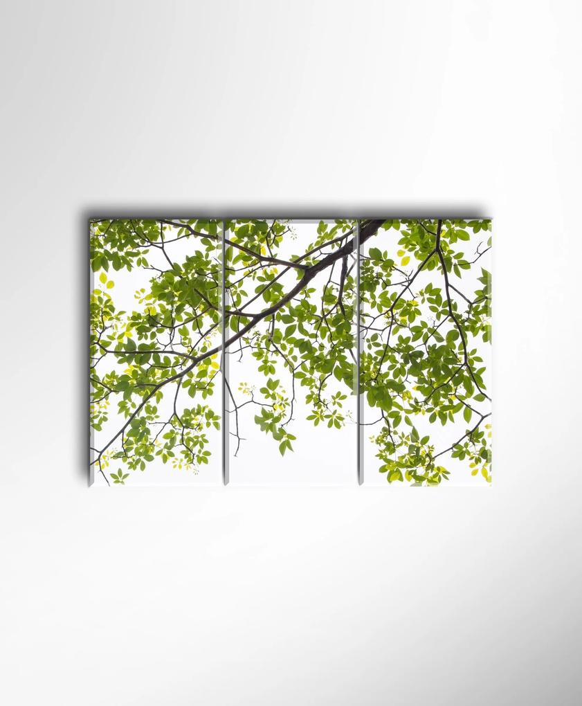 Malvis ® Obraz větev stromu ROZMĚR (šířka x výška): pětidílné schody obdélník 150x75 cm