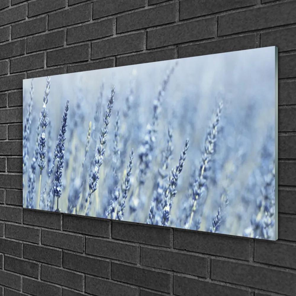 Obraz na skle Květiny Klasy Louka Příroda 100x50 cm