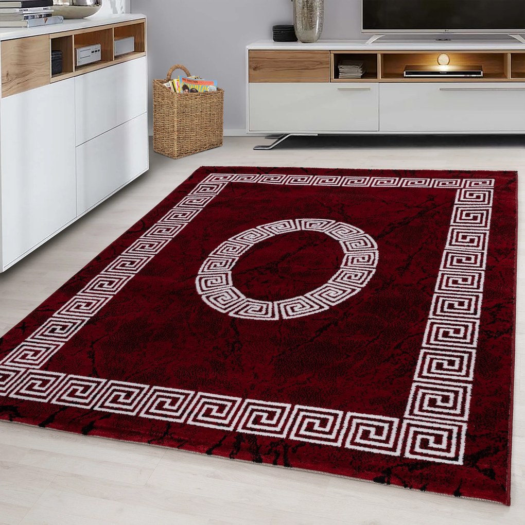 Ayyildiz, Kusový koberec Plus 8009 red, 80x150, červená, obývací pokoj