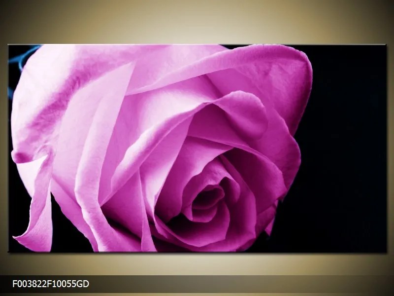 Obraz růžové růže  (), 40 dalších rozměrů