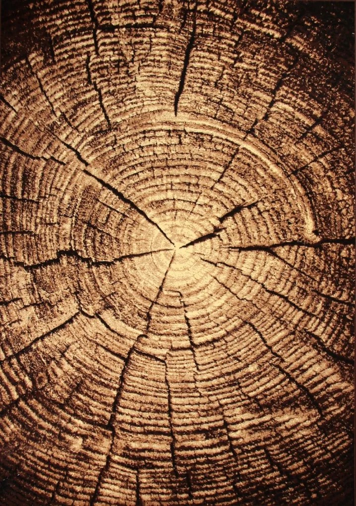 Kusový koberec GOLD 267/12 Pařez stromu Rozměr: 60x110 cm