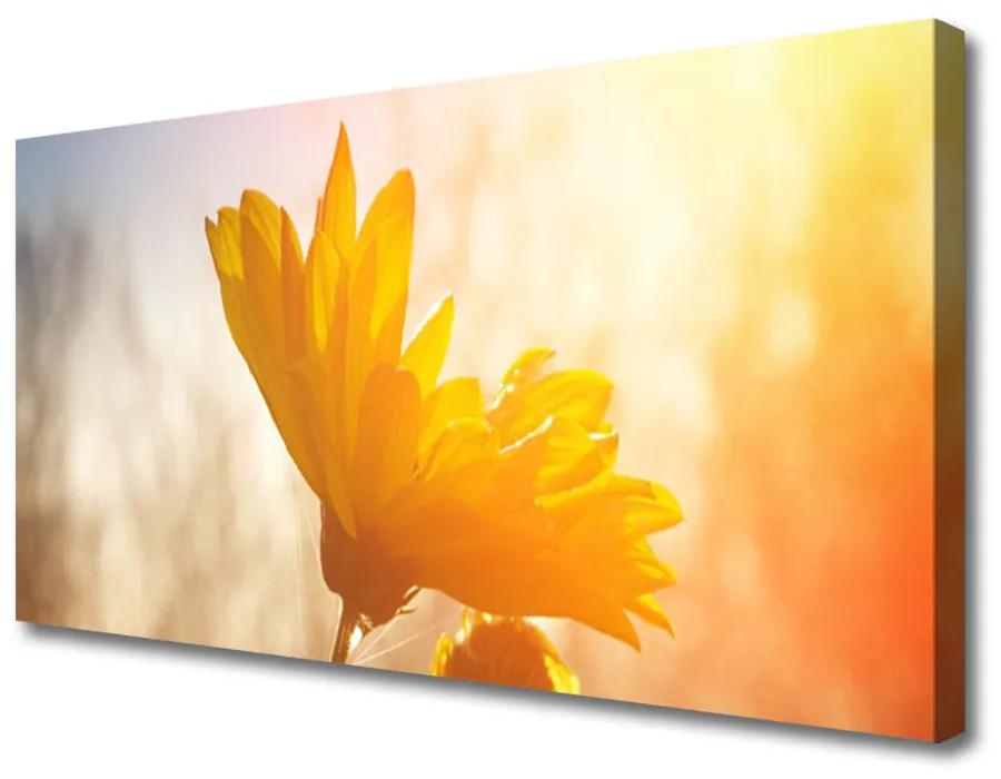 Obraz na plátně Slunečnice 100x50cm