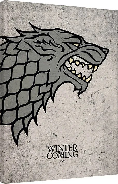Obraz na plátně Hra o Trůny (Game of Thrones) - Stark, (60 x 80 cm)