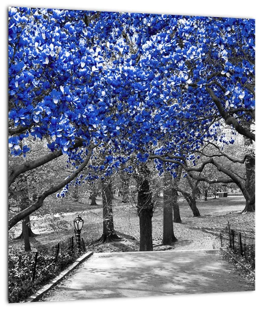 Obraz - Modré stromy, Central Park, New York (30x30 cm)