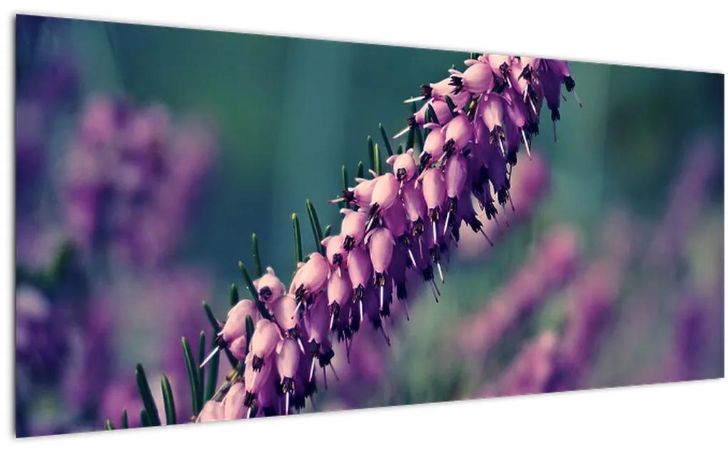 Obraz fialové květiny (100x40 cm), 40 dalších rozměrů