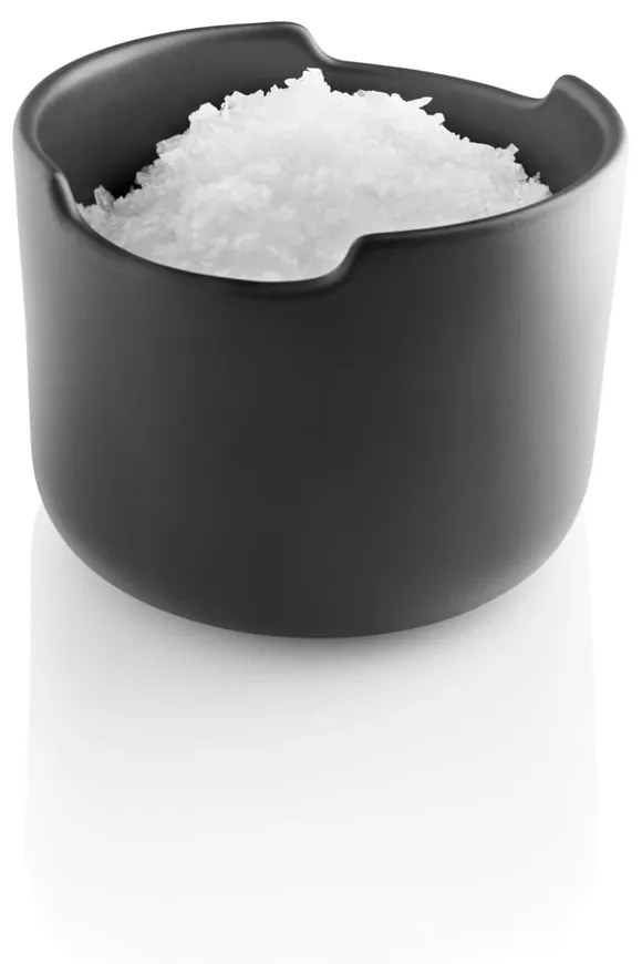 Černá kameninová dóza na sůl s dřevěným víkem Eva Solo Nordic