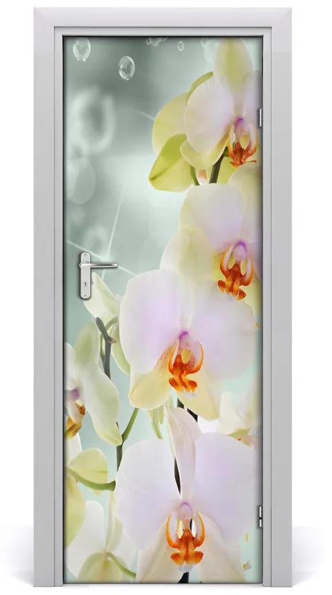 Fototapeta samolepící Orchidej 95x205 cm