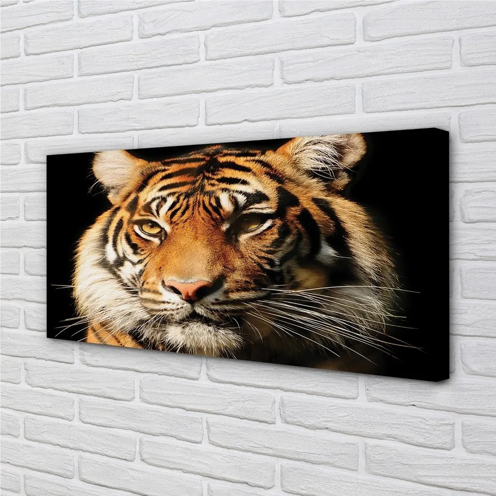 Obrazy na plátně Tygr 120x60 cm