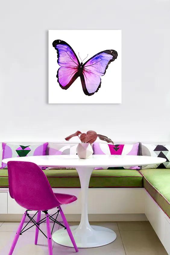 Obraz Fialový Motýl na zrcadle Mirrora 09 - 50x50 cm