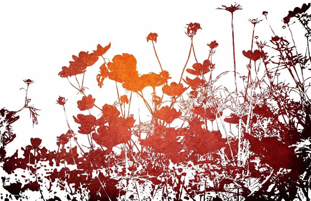 DIMEX | Samolepicí vliesová fototapeta na zeď Květinová textura MA-5-1326 | 375 x 250 cm | červená, bílá, černá