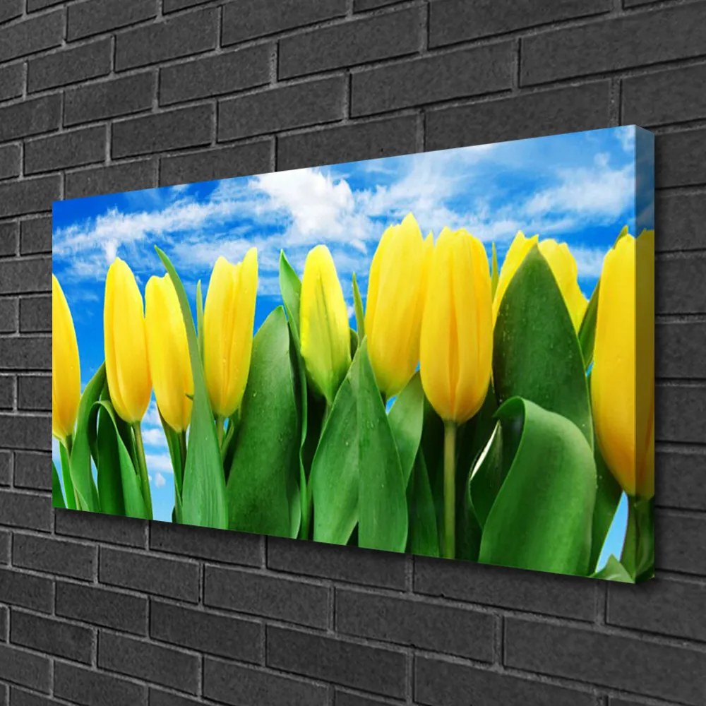 Obraz na plátně Tulipány Květiny 120x60 cm