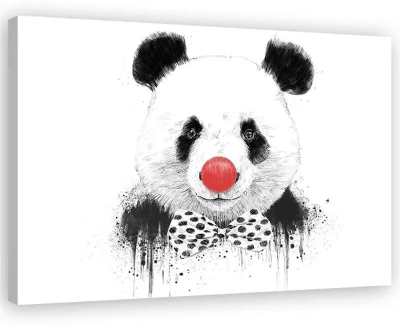 Gario Obraz na plátně Panda s klaunským nosem - Rykker Rozměry: 60 x 40 cm