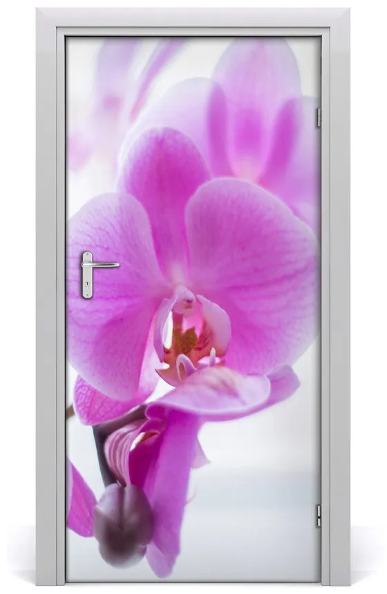 Fototapeta na dveře Růžová orchidej 85x205 cm