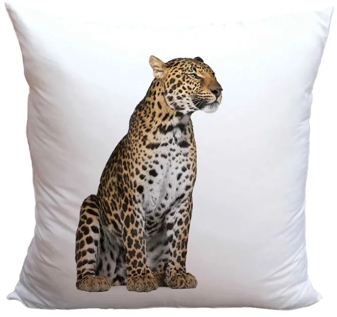 Polštář Sedící gepard 40x40 cm
