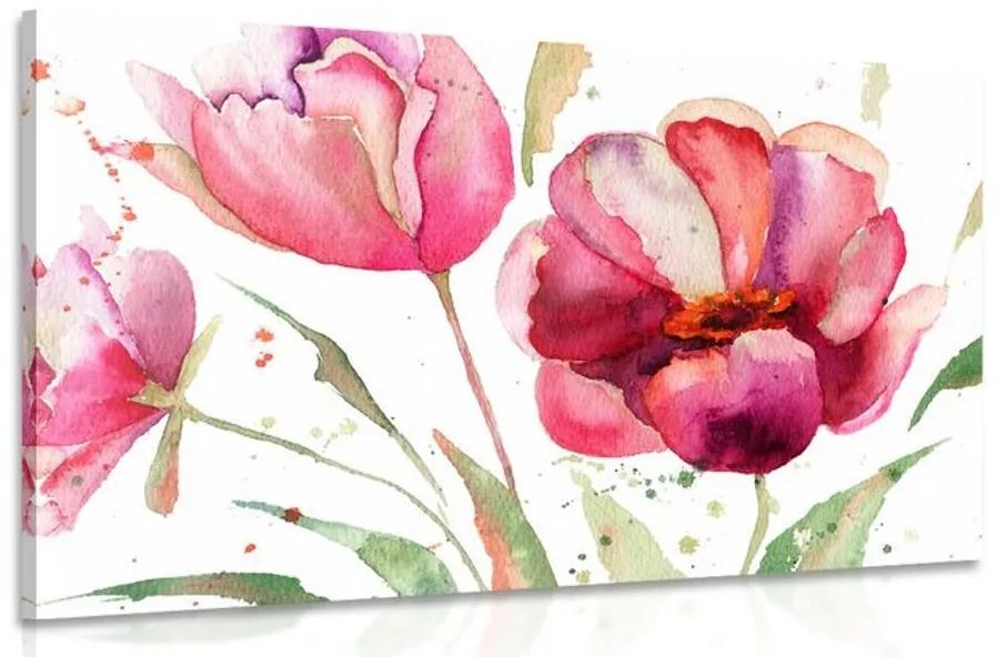 Obraz nádherné tulipány v zajímavém provedení Varianta: 120x80