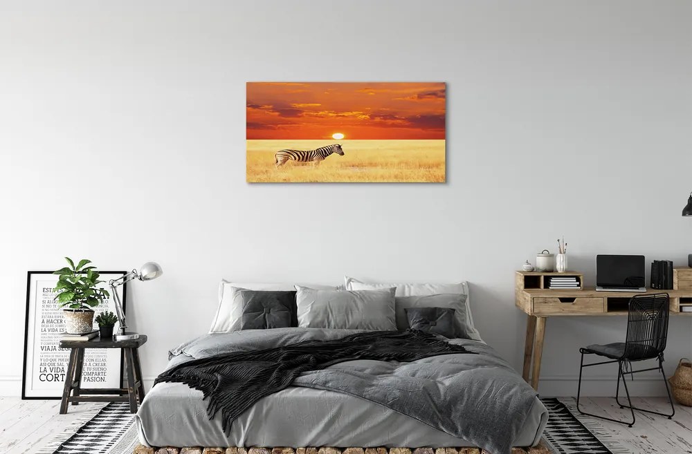 Obrazy na plátně Zebra pole sunset 100x50 cm