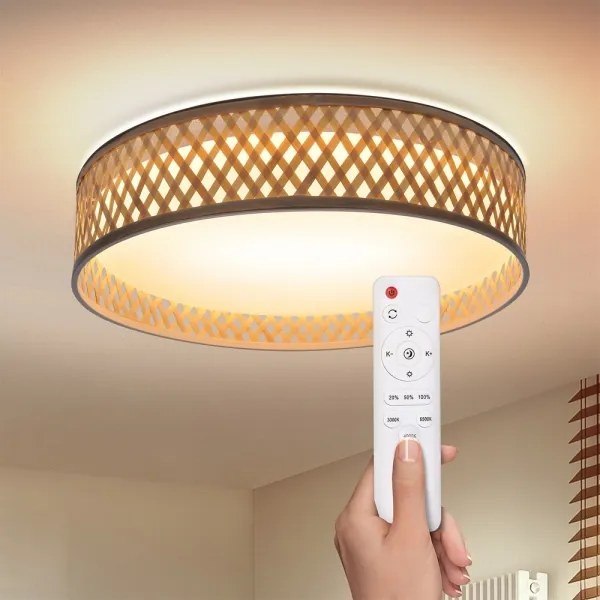 Brilagi - LED Stmívatelné stropní svítidlo CAMILA LED/48W/230V 3000-6500K + DO