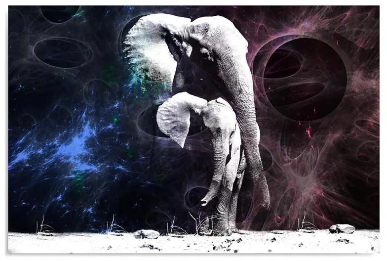 CARO Obraz na plátně - Elephant With Baby Elephant 2 40x30 cm