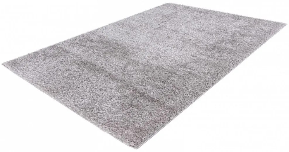 Obsession koberce Kusový koberec Emilia 250 silver ROZMĚR: 200x290