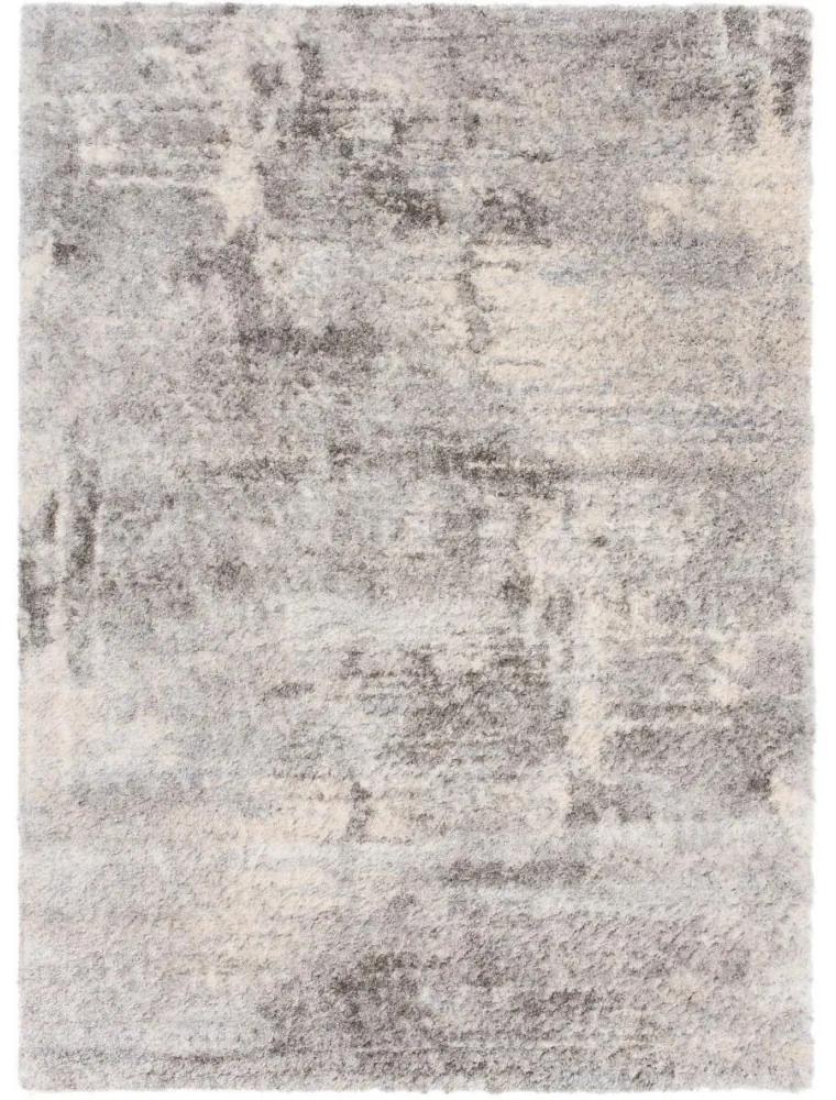 Kusový koberec shaggy Feride šedý 160x229cm