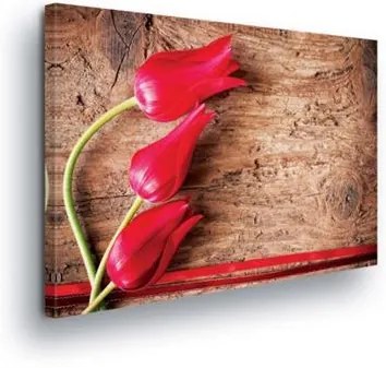 Obraz na plátně tulipány na dřevě 100 x 75 cm