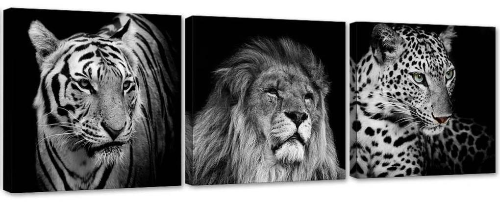 Gario Sada obrazů na plátně Černobílá dravá zvířata - 3 dílná Rozměry: 90 x 30 cm