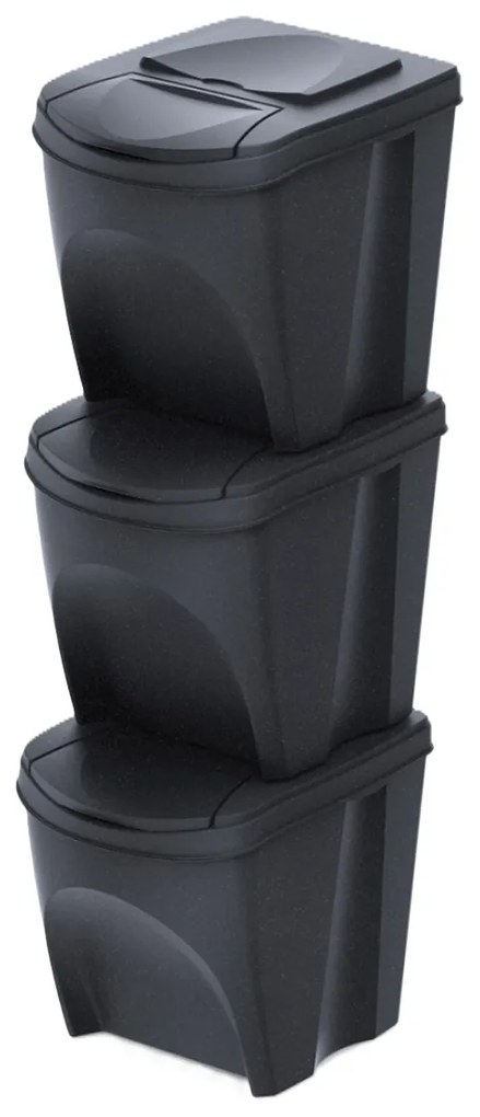 PROSPERPLAST Odpadkový koš SORTIBOX ECO WOOD antracit, 3x25L