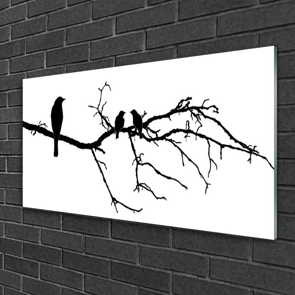 Obraz na skle Ptáci Větev Umění 100x50 cm