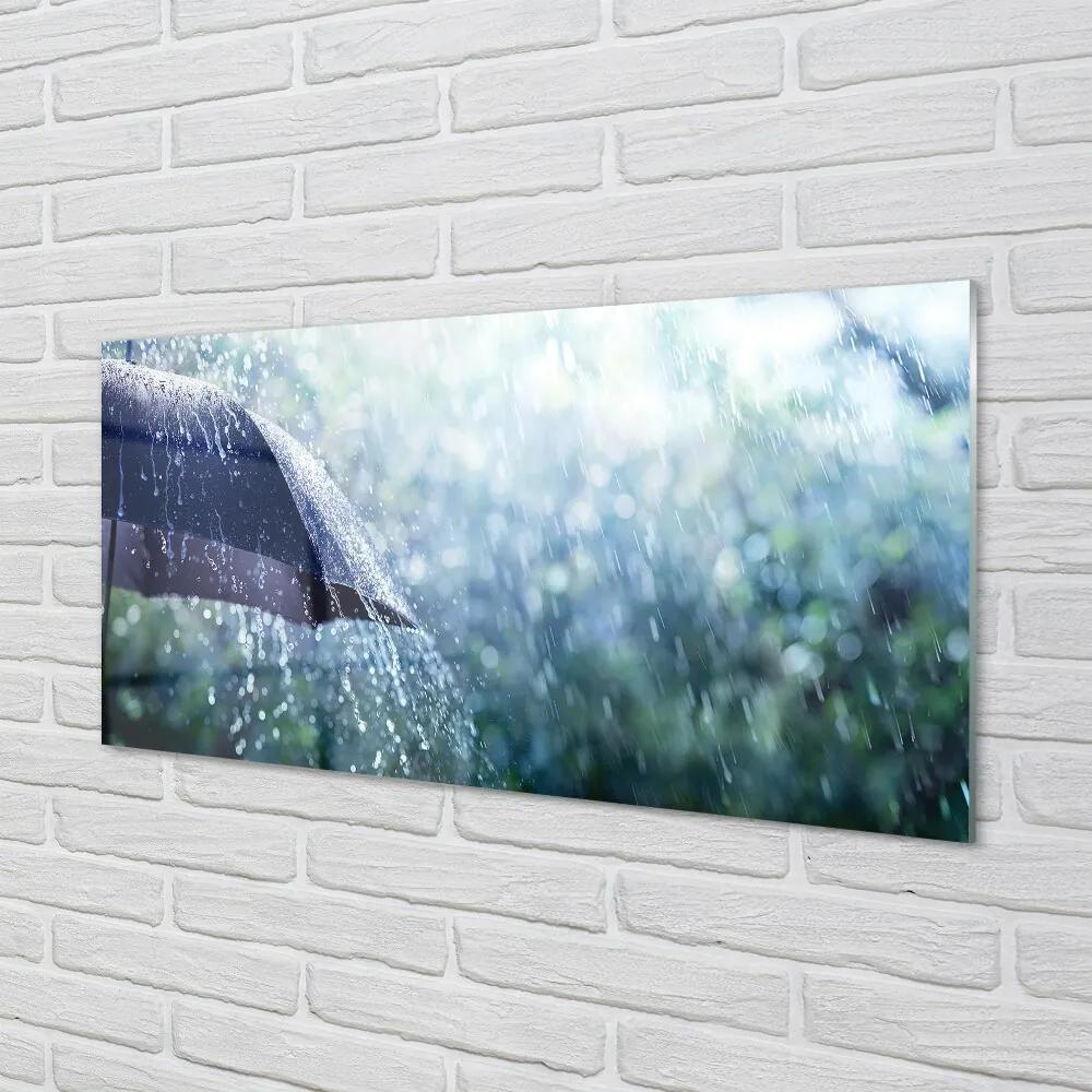 Obraz na skle Umbrella dešťové kapky 120x60 cm